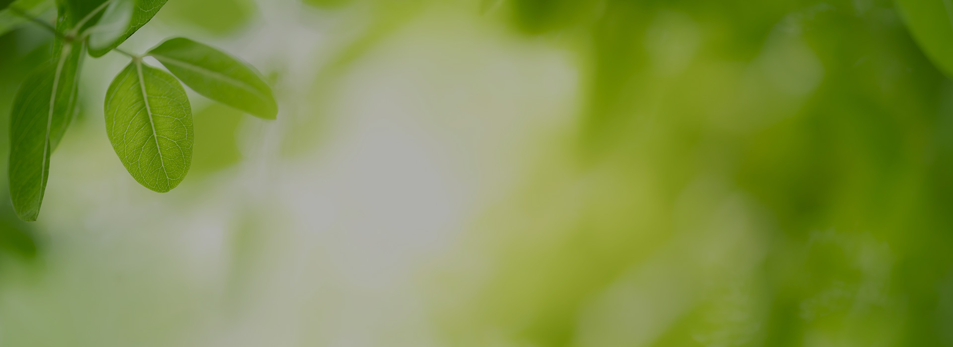 Our commitments: 6 concrete actions to make progress towards eco ...